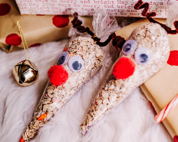 Magic Reindeer Food Cone, Reindeer Mix Cone, Fun Christmas Eve Box ...