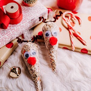 Reindeer Snack Cone, Food Mix Cone, Christmas Eve Box, Magic Reindeer ...