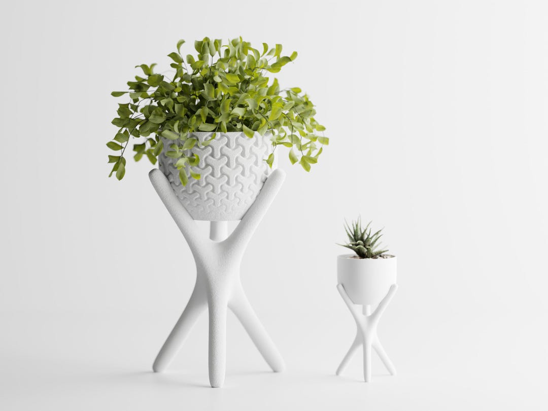 Triova Flowerpot With Real Plant – Modern Flowerpot With Elegant Stand ...