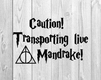 Mandrake Svg - Etsy