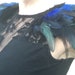 Blue and Black Feather Epaulette Shoulder Pads - Etsy