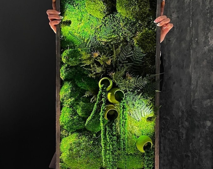 NEW!! Wall Art Preserved Moss Lighted Framed Beautiful Preserved Moss ...