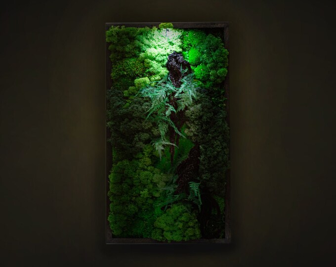 Lovely Vertical Preserved Moss Artwork With LED Lights Live Moss LED ...