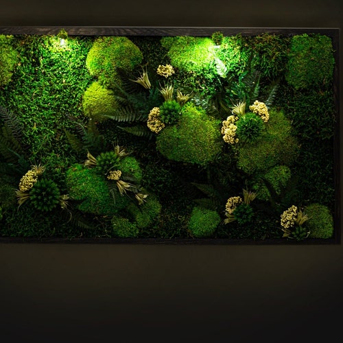 Beautiful Preserved Moss Artwork With LED Lights Live Moss LED - Etsy