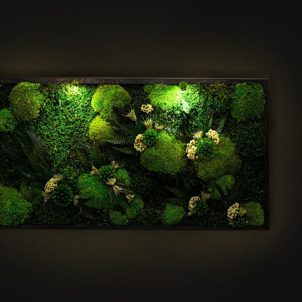 Moss Wall Decor - Etsy