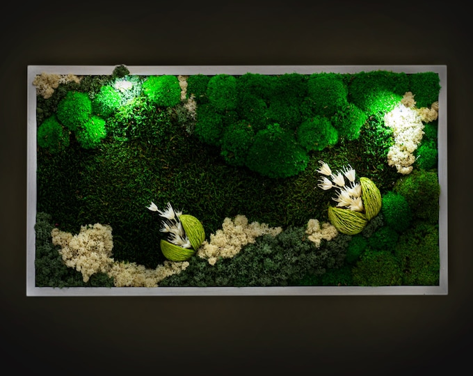 Unique Preserved Moss Wall Art With LED Lights Live Moss LED Artwork ...