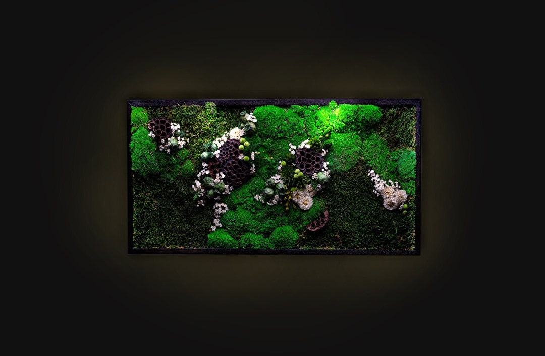 Bestchristmas Gift Idea Preserved Moss Wall Art With LED Lights Live ...