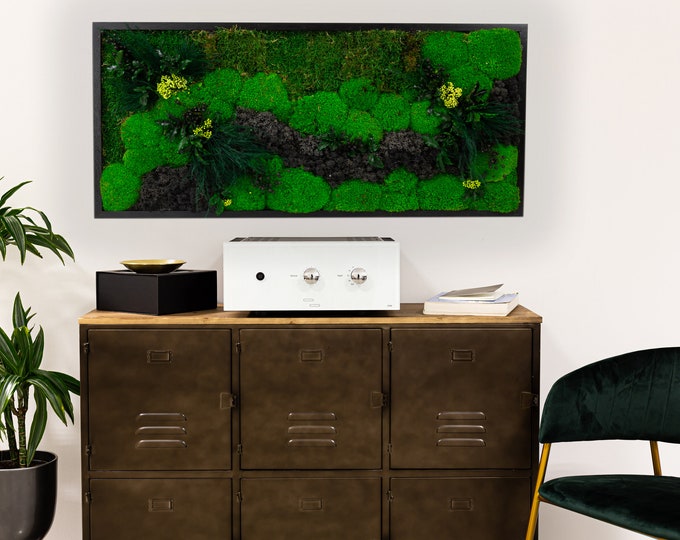 Delightful LED Lights Preserved Moss Wall Art Live Moss LED Home Décor ...