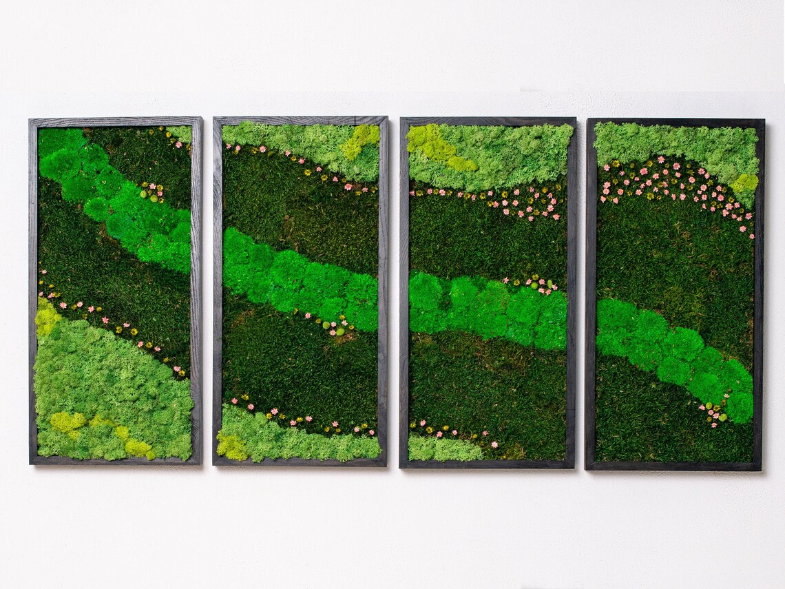 Set of 4 Framed Moss Wall Art 4 Moss Artwork Frames Gift for - Etsy