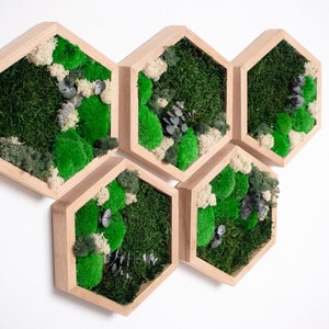 3D Moss Wall Art Panel 3D Reindeer Moss Wall Art Decor - Etsy