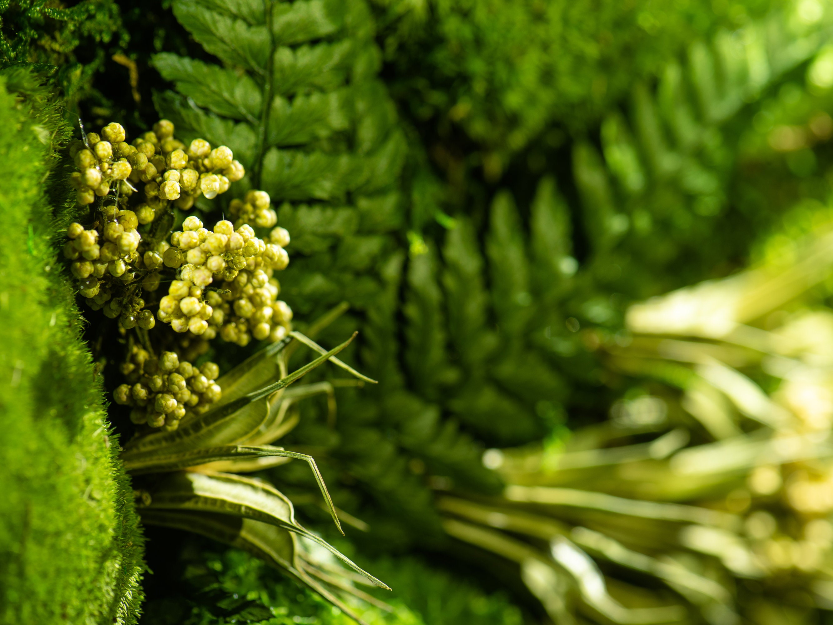 Outstanding LED Lights Preserved Moss Wall Art Live Moss LED Home Décor ...