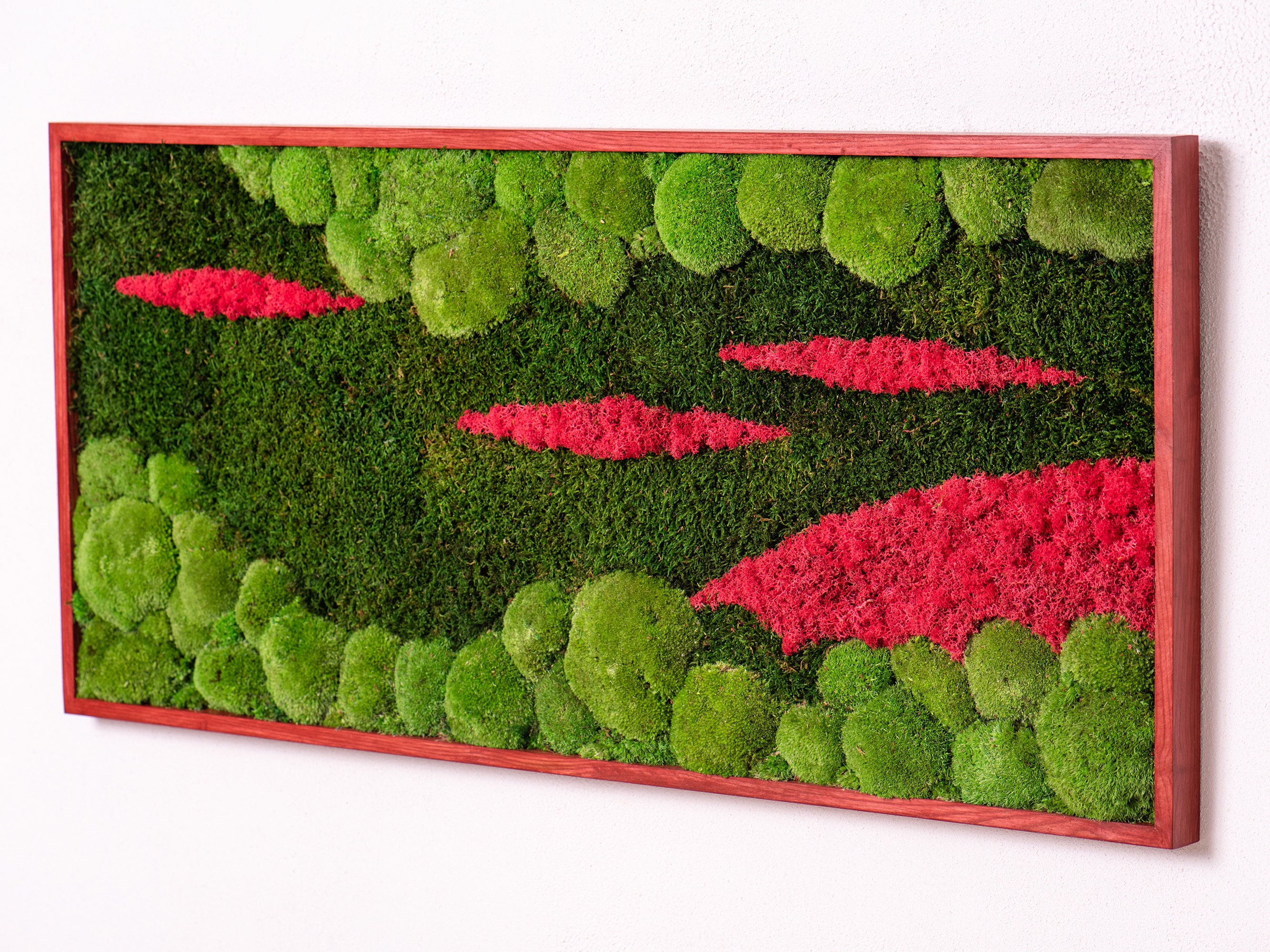 Preserved Moss Wall Art Piece Wall Planters Indoors Green - Etsy