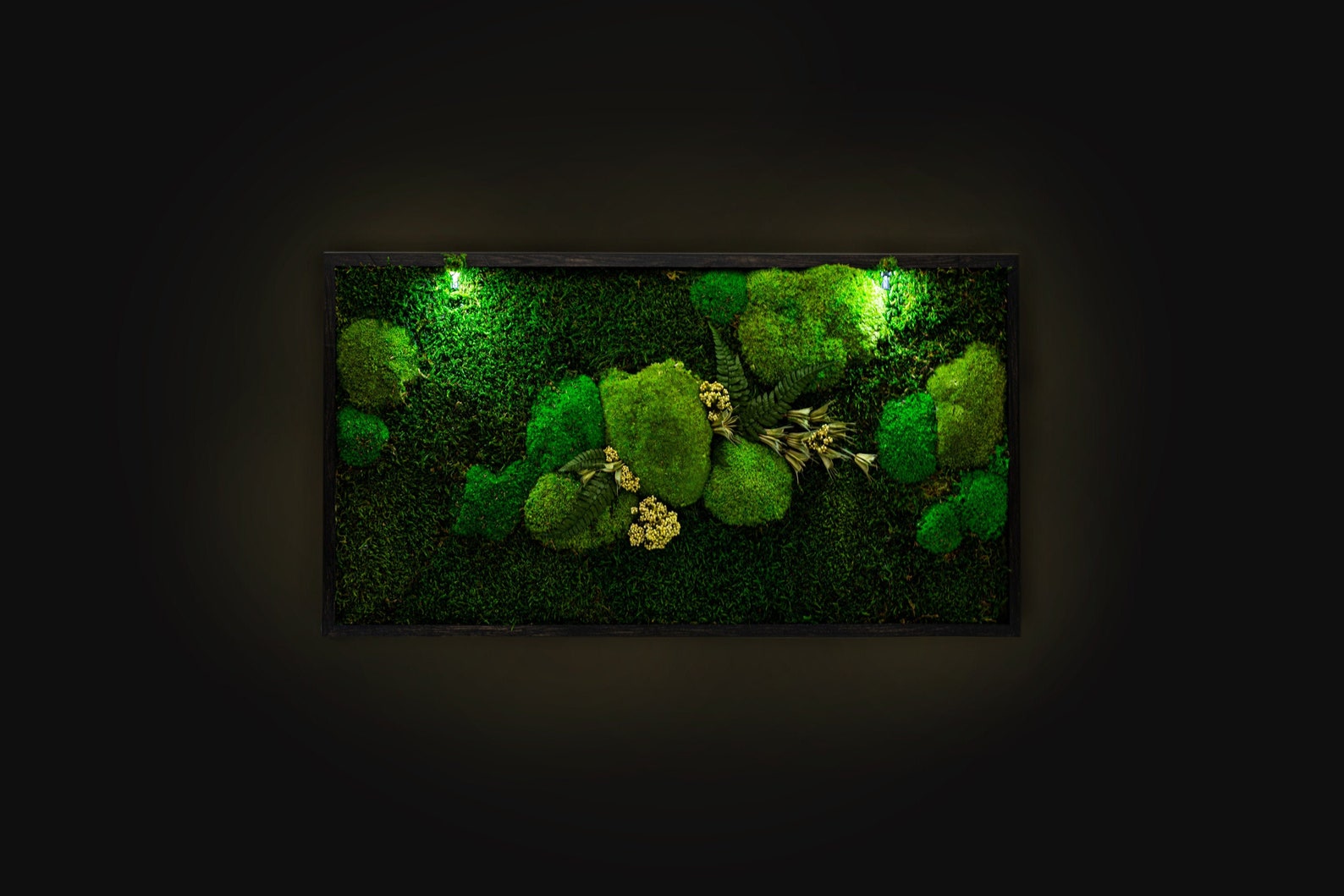 Outstanding LED Lights Preserved Moss Wall Art Live Moss LED Home Décor ...