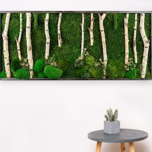 Delightful LED Lights Preserved Moss Wall Art Live Moss LED Home Décor ...