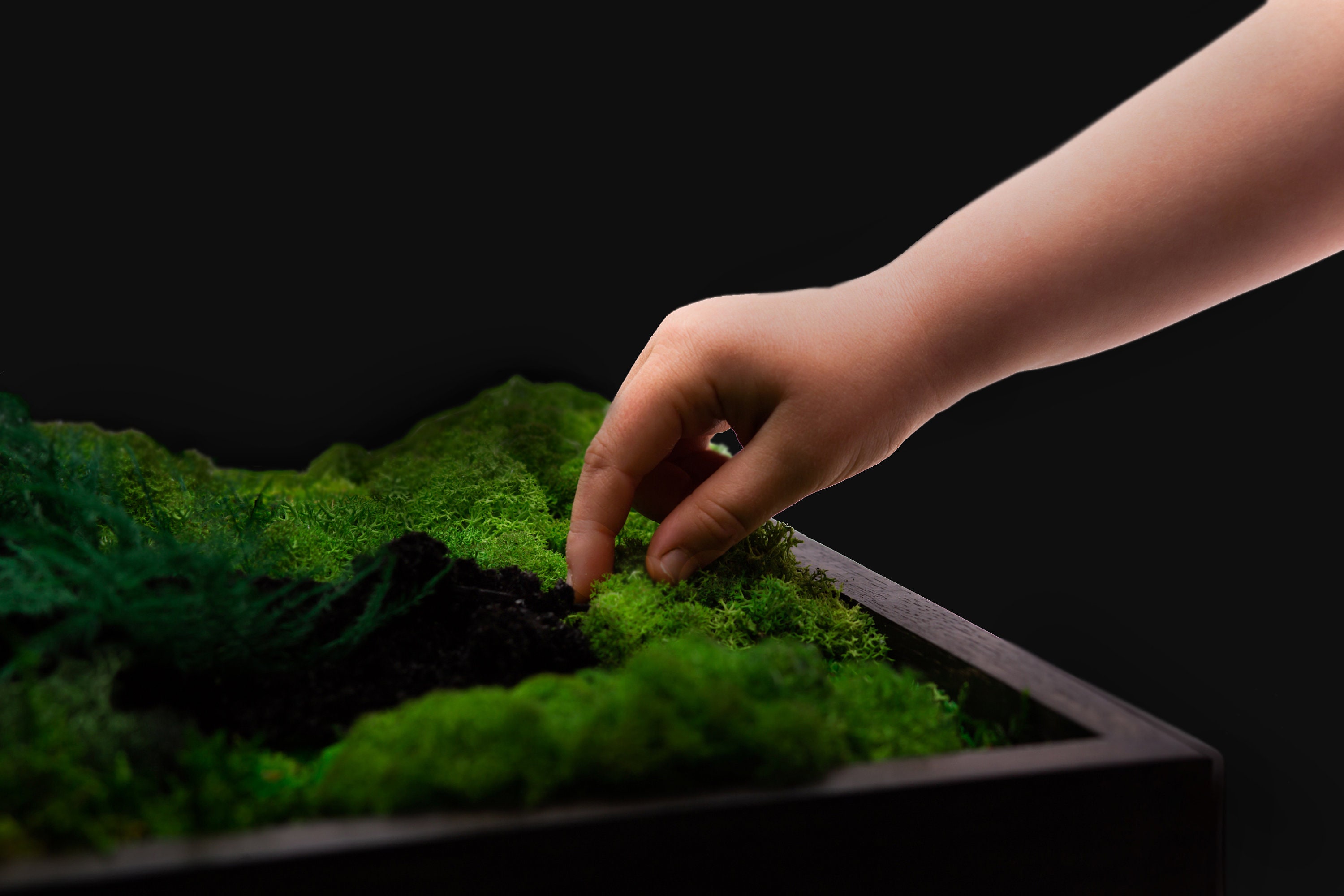 Delightful LED Lights Preserved Moss Wall Art Live Moss LED - Etsy ...