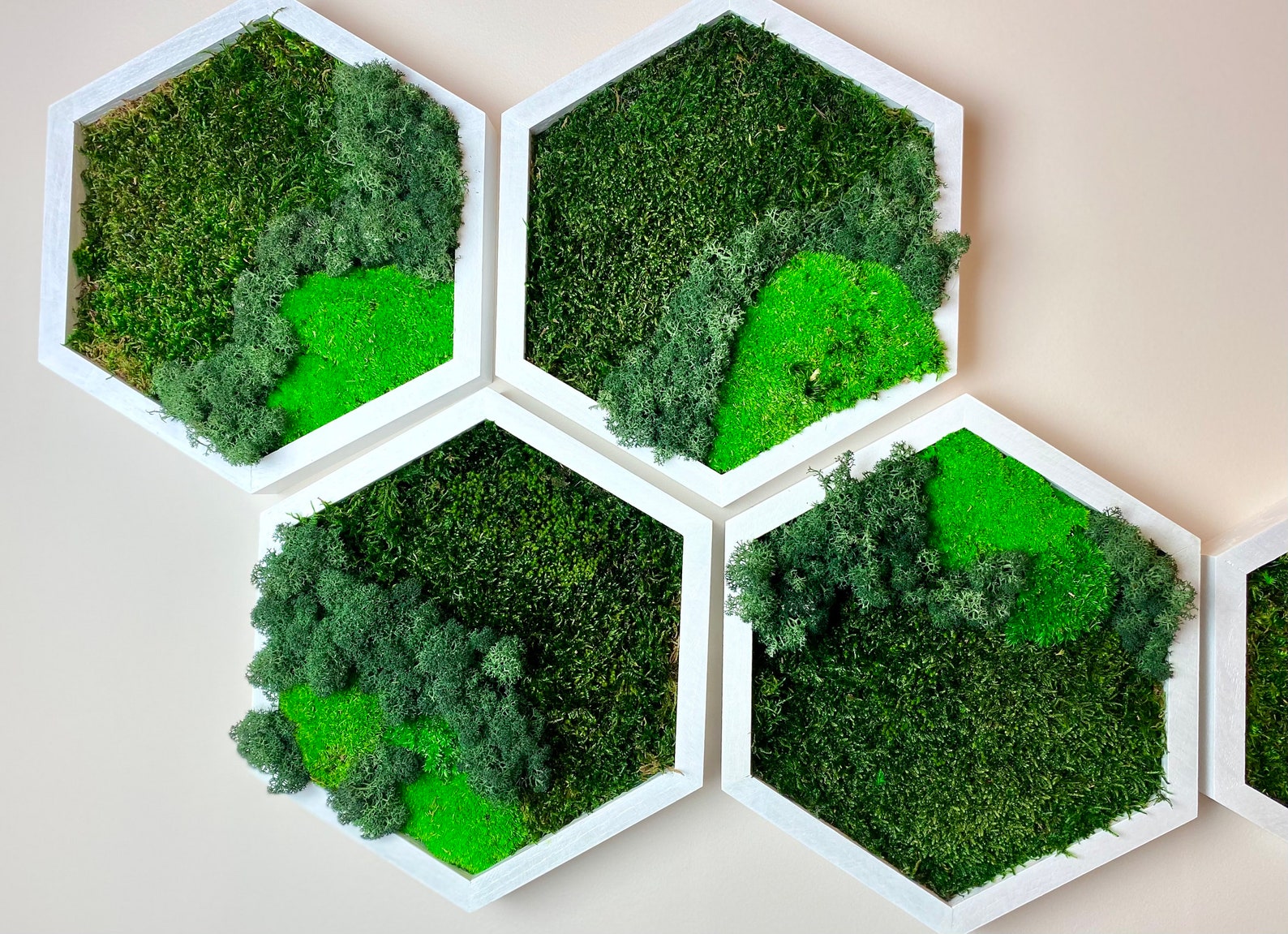 Moss Wall Green Wall Art Set Preserved Natural Moss Moss | Etsy