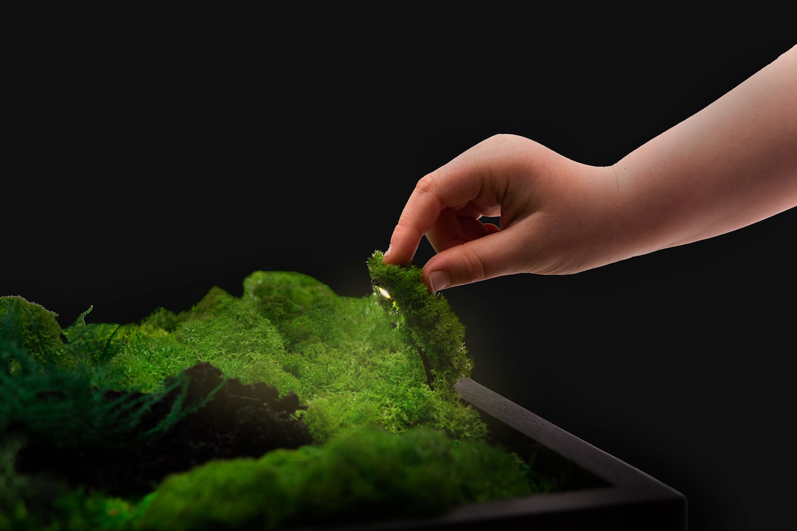 Lovely Green Wall Art Preserved Moss Artwork With LED Lights Moss LED ...