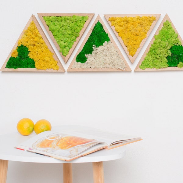 Moss Wall - Etsy