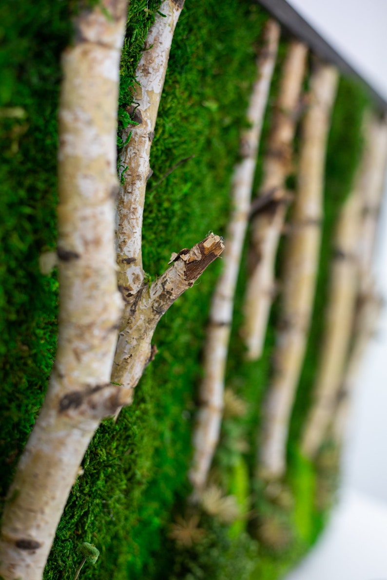 Delightful LED Lights Preserved Moss Wall Art Live Moss LED Home Décor ...