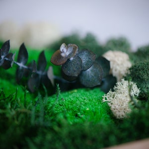 3D Moss Wall Art Panel 3D Reindeer Moss Wall Art Decor - Etsy