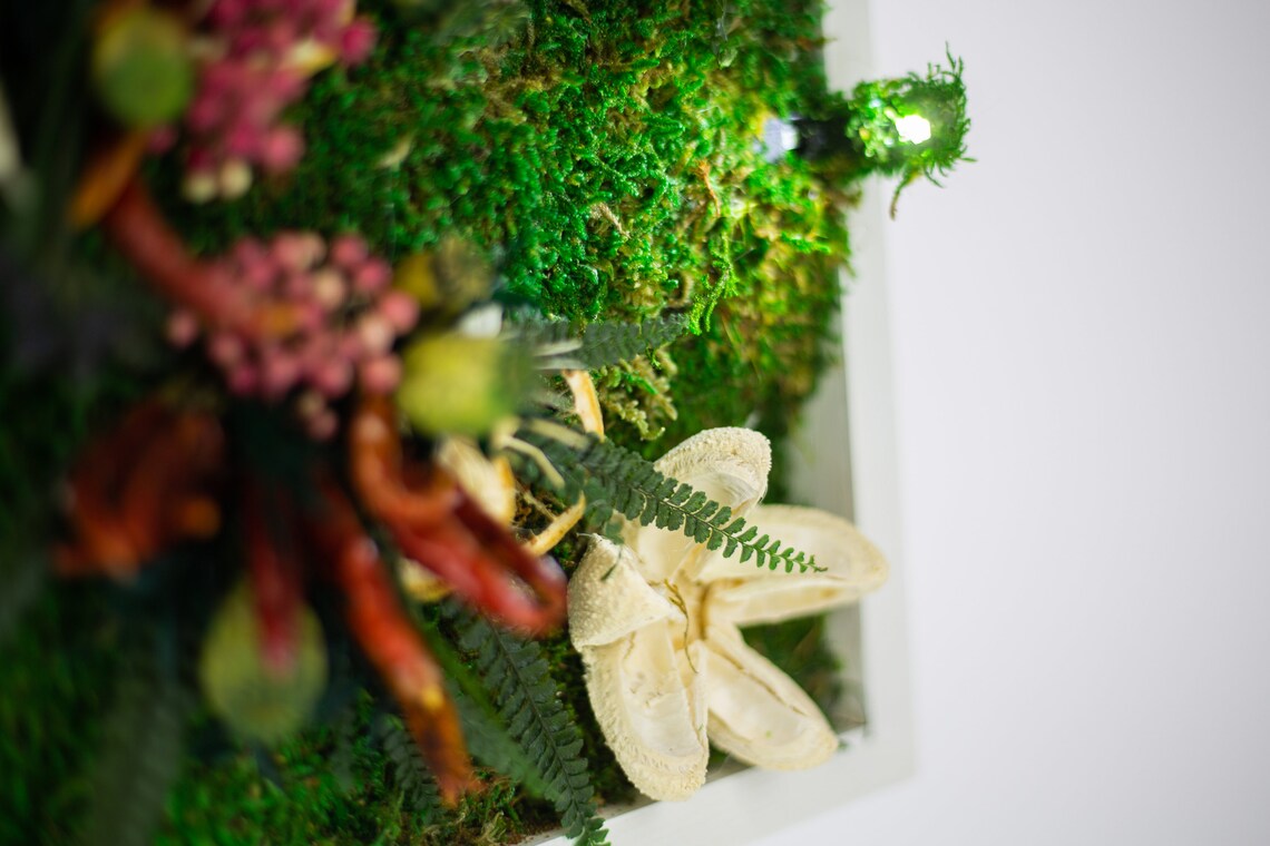 NEW! Stunning Preserved Moss Wall Art With LED Lights for Kitchen Live ...