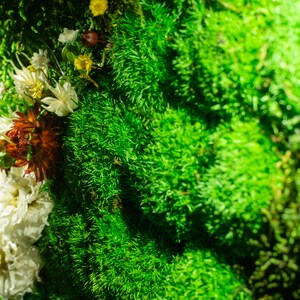 Delightful LED Lights Preserved Moss Wall Art Live Moss LED - Etsy ...