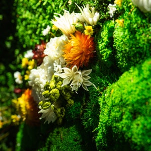 Delightful LED Lights Preserved Moss Wall Art Live Moss LED - Etsy ...