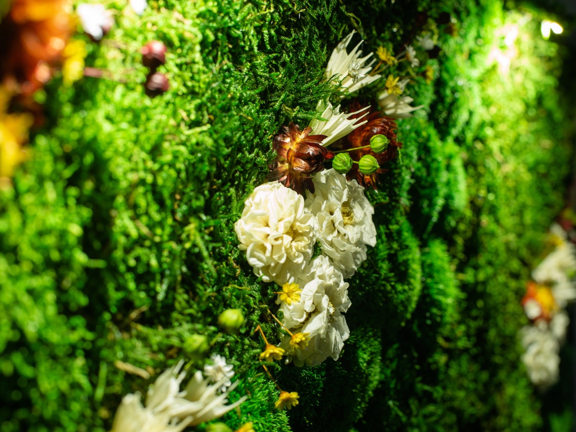 Delightful LED Lights Preserved Moss Wall Art Live Moss LED - Etsy ...