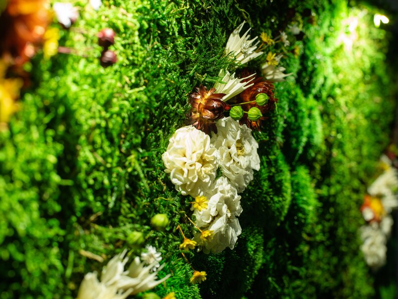 Delightful LED Lights Preserved Moss Wall Art Live Moss LED - Etsy