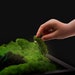 Delightful LED Lights Preserved Moss Wall Art Live Moss LED Home Décor ...