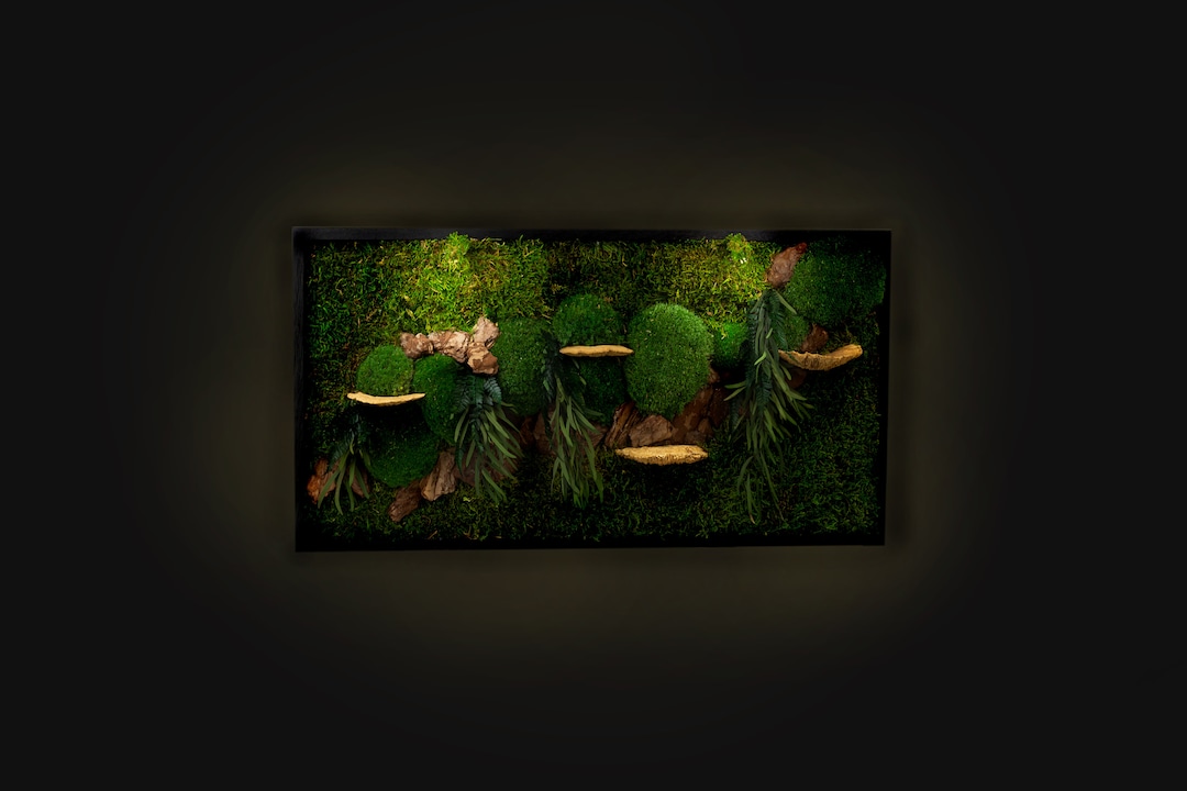 Lovely Green Wall Art Preserved Moss Artwork With LED Lights Moss LED ...