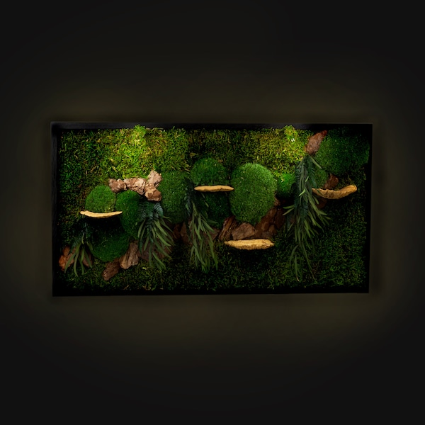Wall Moss Art - Etsy