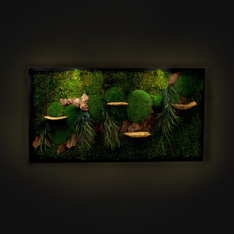 Wall Moss Art - Etsy