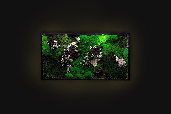 Authentic Preserved Moss Wall Art With LED Lights Live Moss - Etsy