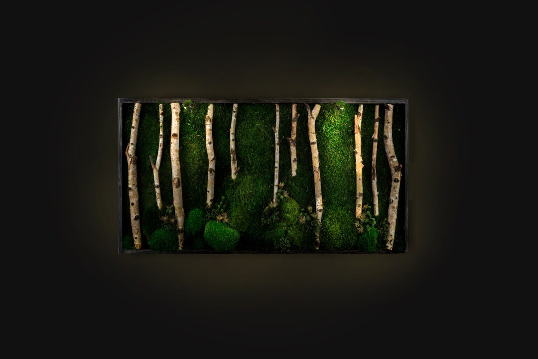 Delightful LED Lights Preserved Moss Wall Art Live Moss LED - Etsy