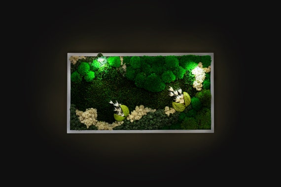 Unique Preserved Moss Wall Art With LED Lights Live Moss LED | Etsy
