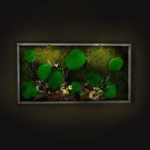 Outstanding LED Lights Preserved Moss Wall Art Live Moss LED - Etsy
