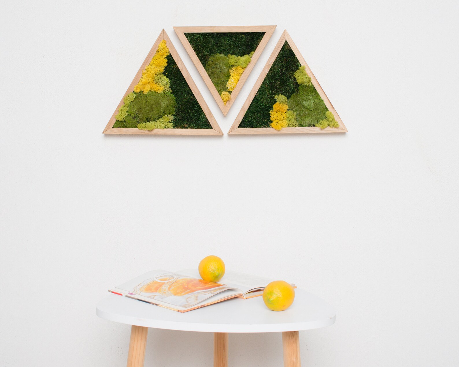 Moss Wall Art OAK Triangel-3 Pcs Set. Live Green Moss. Green | Etsy