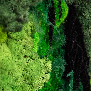Lovely Vertical Preserved Moss Artwork With LED Lights Live Moss LED ...