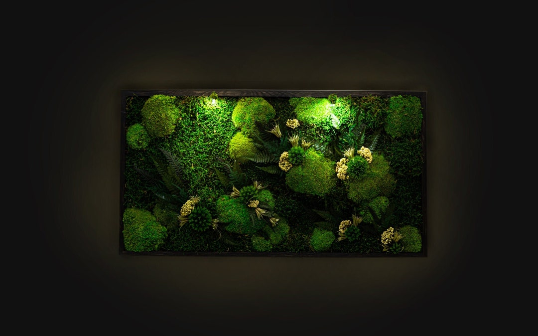 Beautiful Preserved Moss Artwork With LED Lights Live Moss LED Wall Art ...
