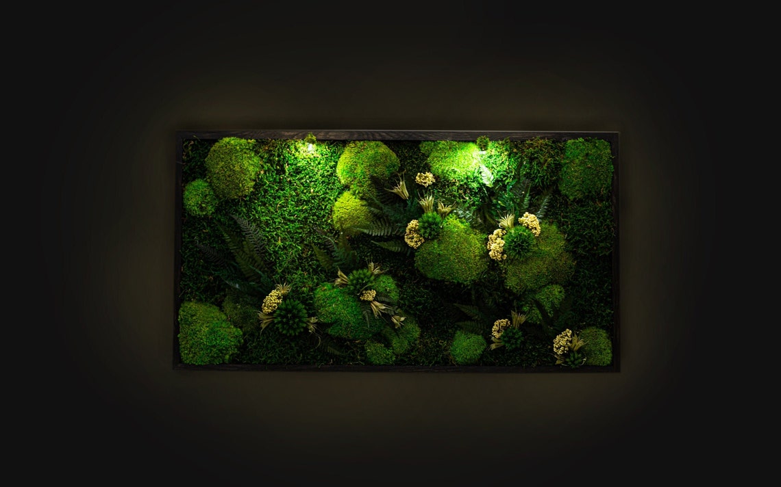 Beautiful Preserved Moss Artwork With LED Lights Live Moss LED Wall Art ...