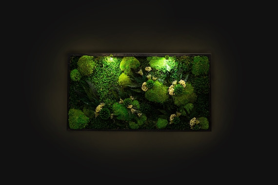 Beautiful Preserved Moss Artwork With LED Lights Live Moss LED - Etsy