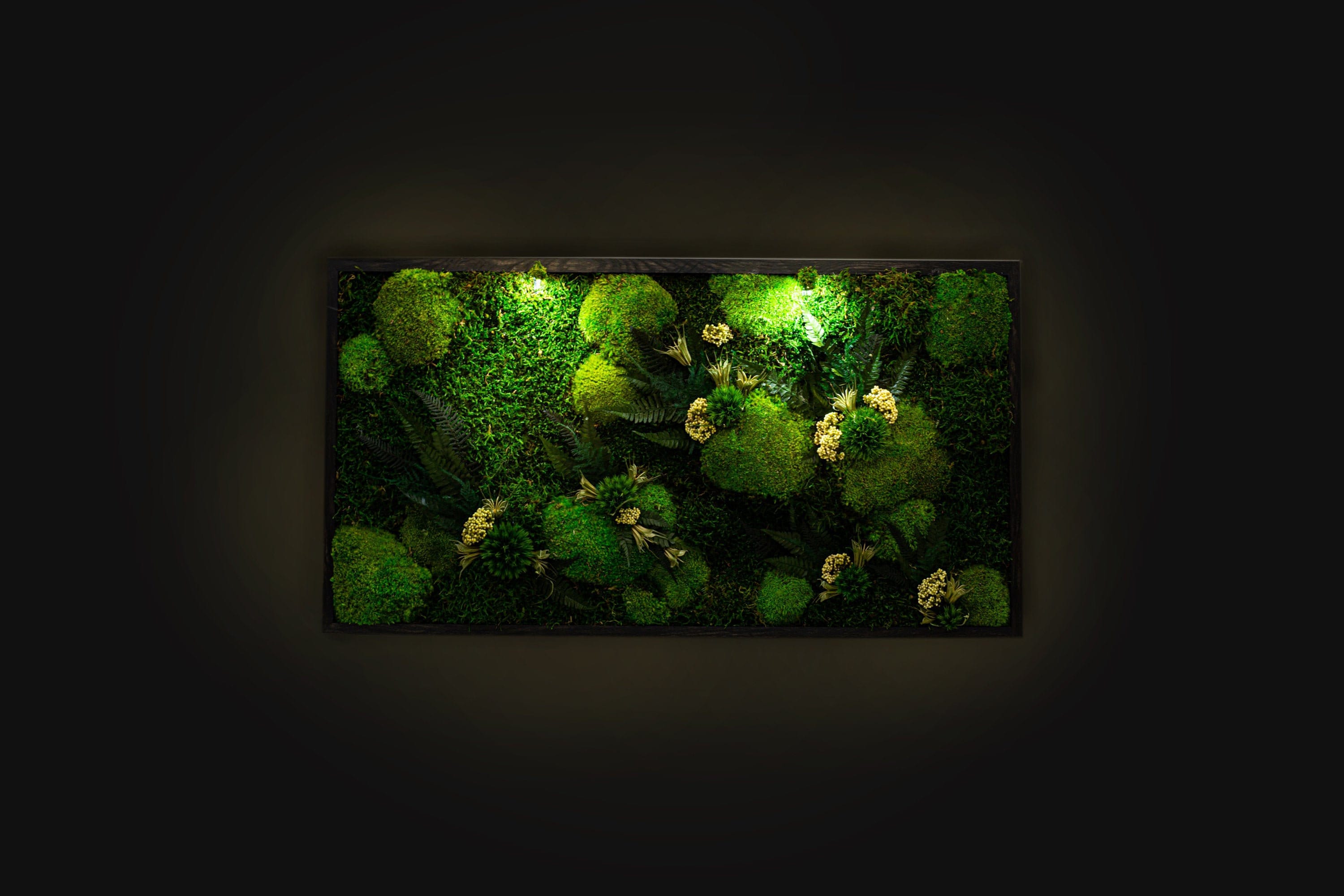 Beautiful Preserved Moss Artwork With LED Lights Live Moss LED - Etsy