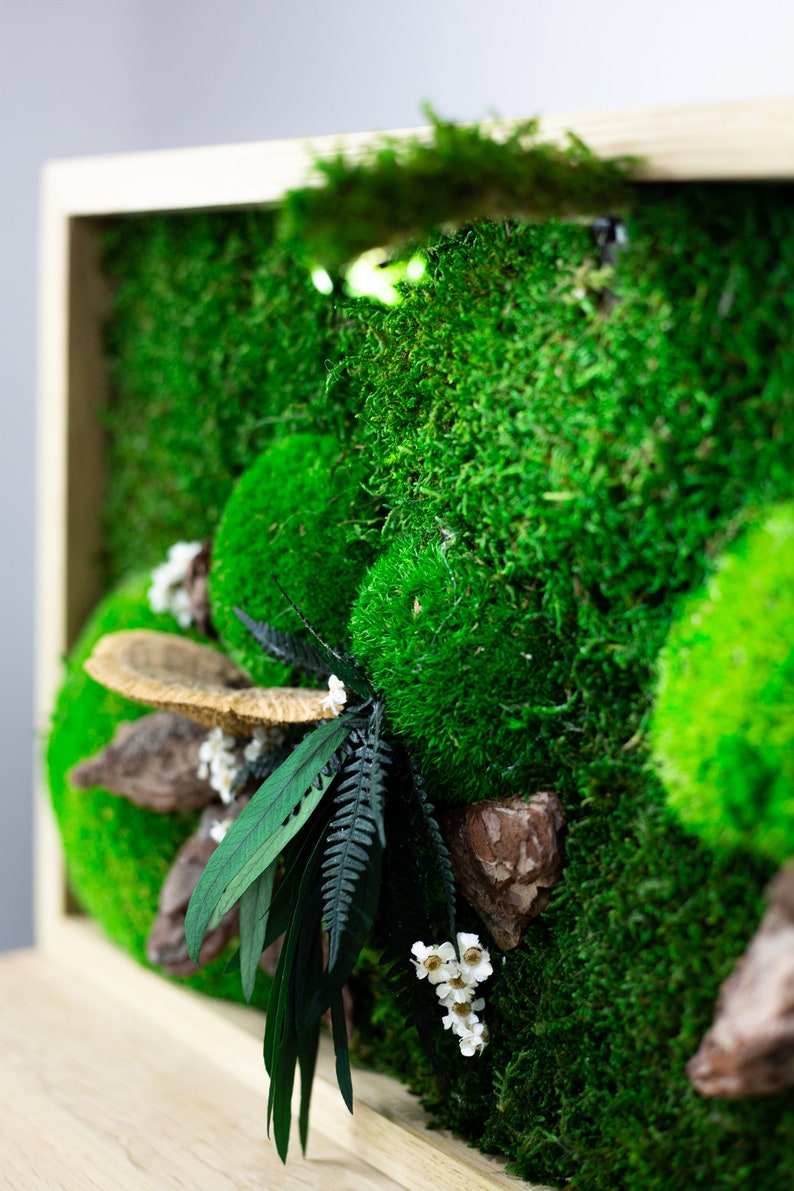 Beautiful Preserved Moss Artwork's With LED Lights Live Moss LED Wall ...