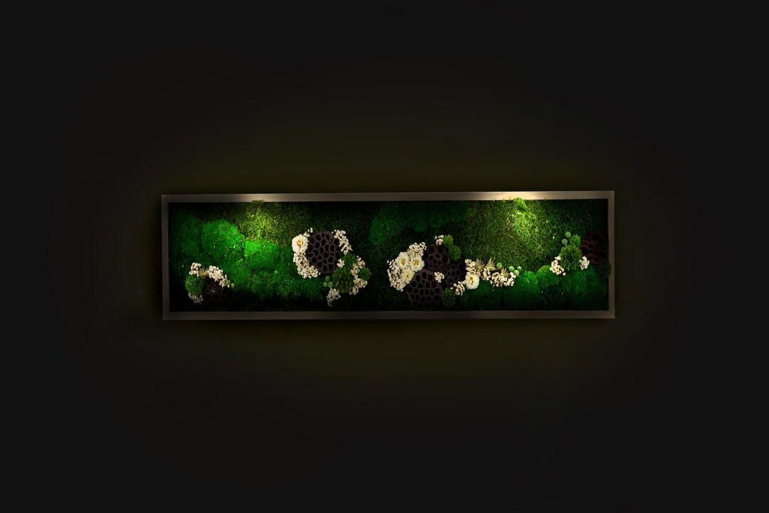 Beautiful Preserved Moss Artwork's With LED Lights Live Moss LED Wall ...