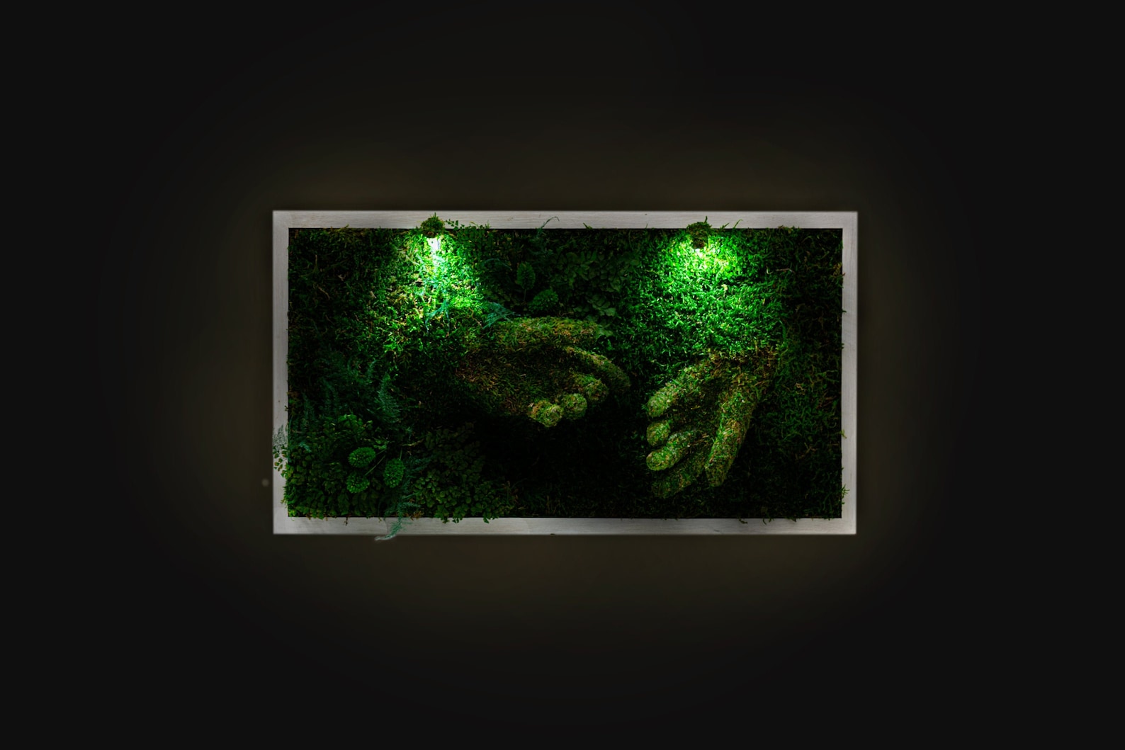 Gorgeous LED Lighted Preserved Moss Wall Art Live Moss LED Artwork ...
