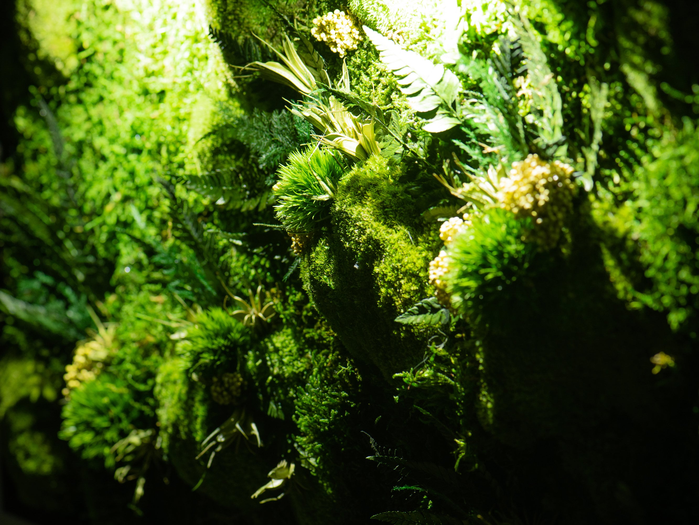 Beautiful Preserved Moss Artwork With LED Lights Live Moss LED - Etsy