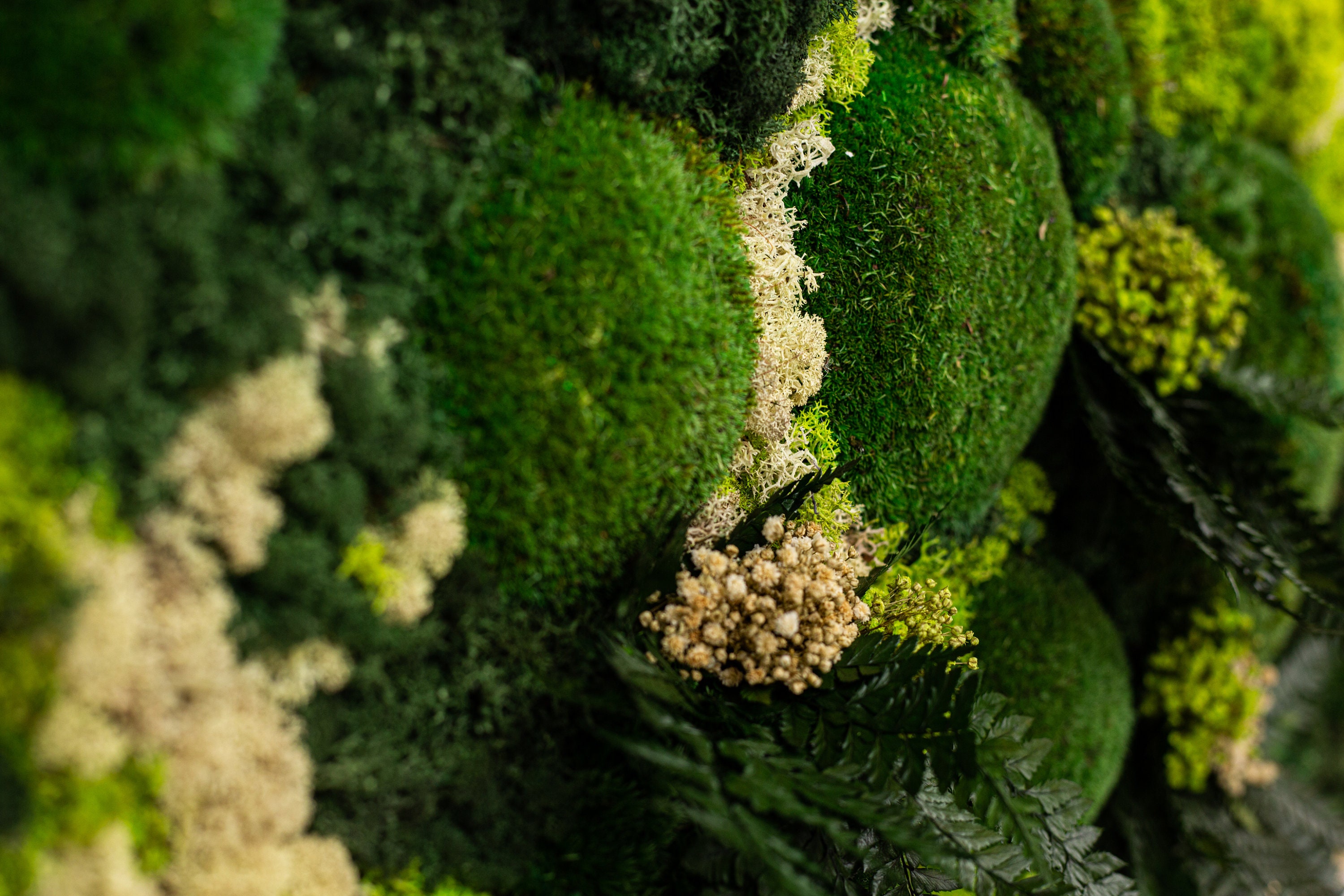 Gorgeous Moss Wall Art Greenery With LED Lights Live Moss LED | Etsy