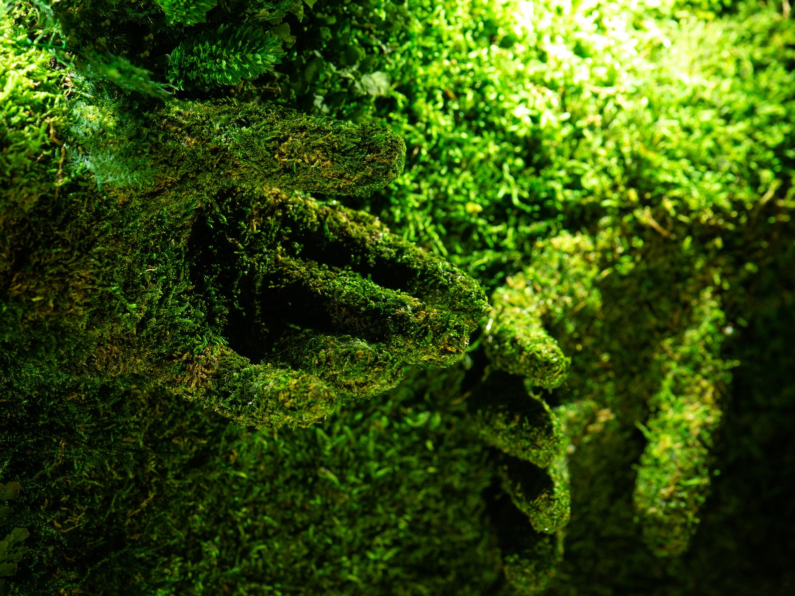 Gorgeous LED Lighted Preserved Moss Wall Art Live Moss LED Artwork ...