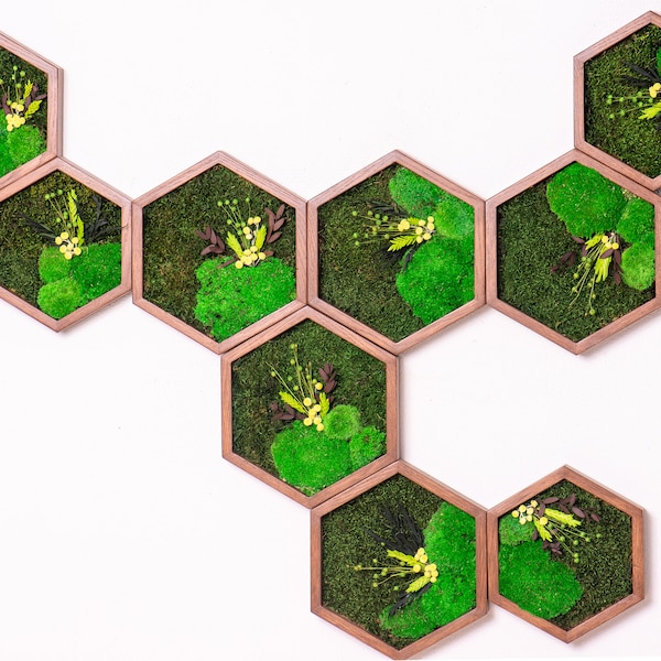 Hexagon Artwork - Etsy